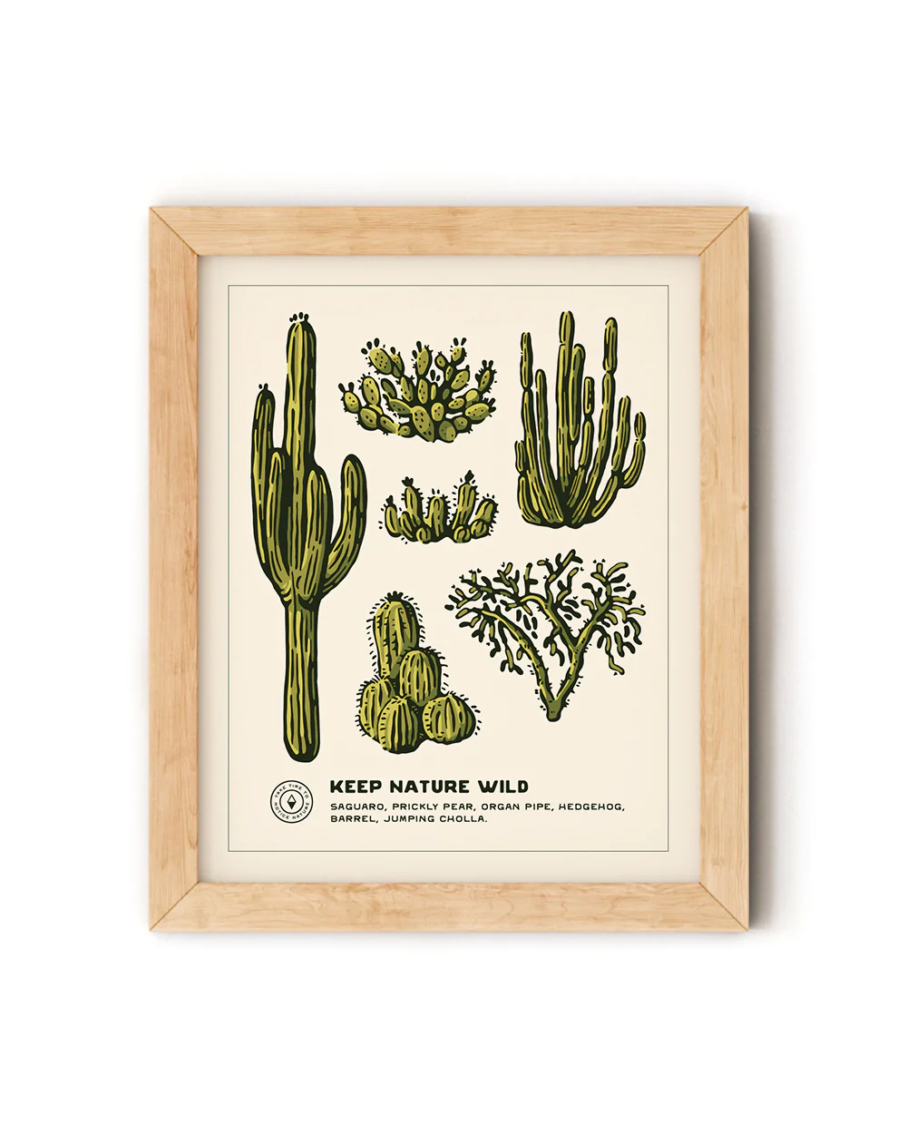 Nature Study Digital Download Poster | Cacti
